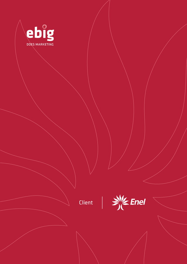 EBIG.ENEL.Studiu satisfactie clienti | PDF