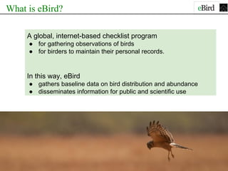 E bird introduction | PDF