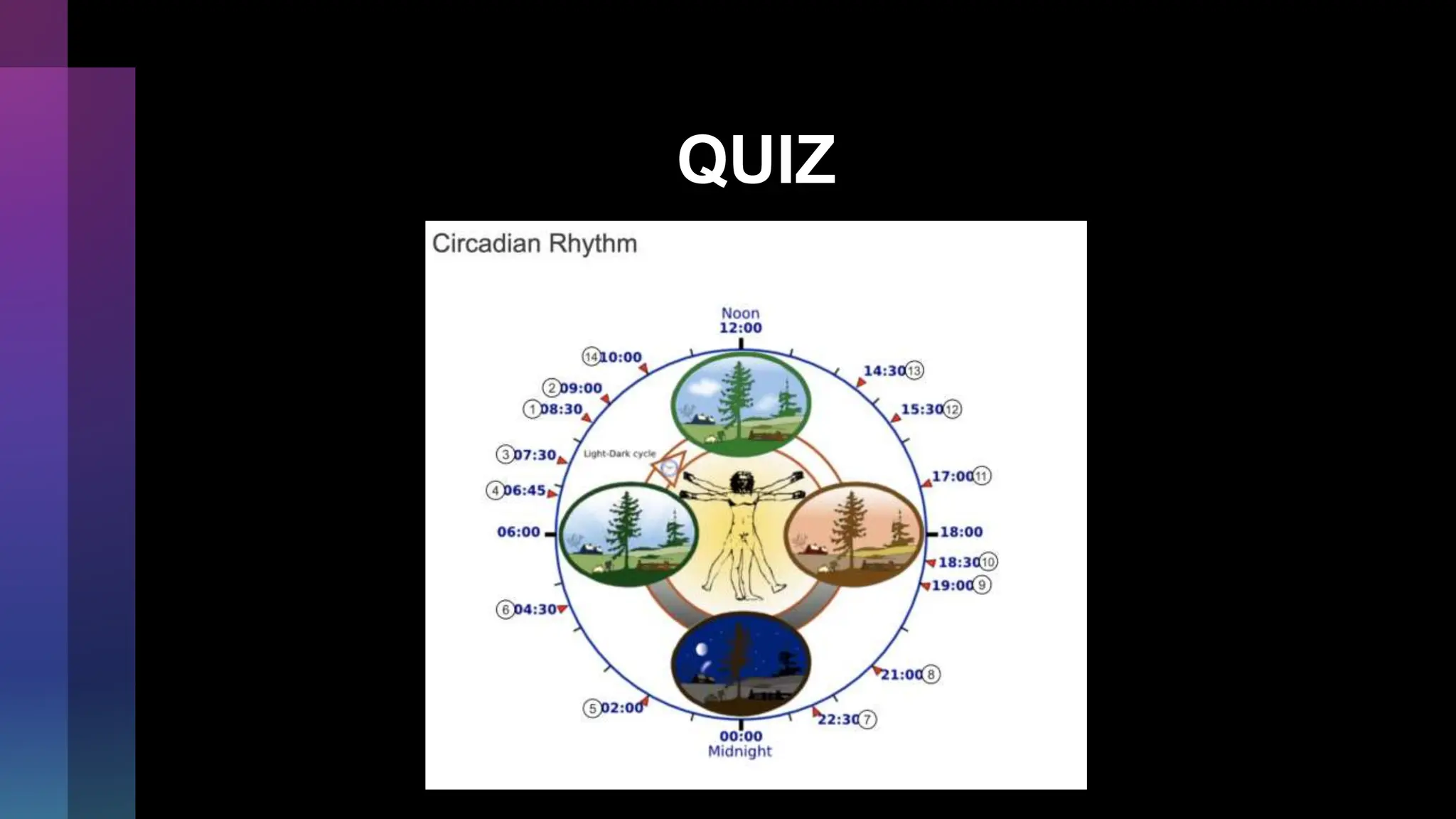 Sleep Physiology and Health in Physiotherapy.pptx