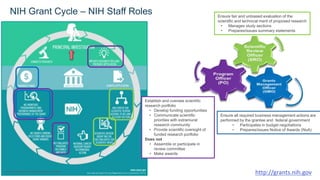 Ask an NIH Program Officer: Tips and Tools for New & Early-Stage ...