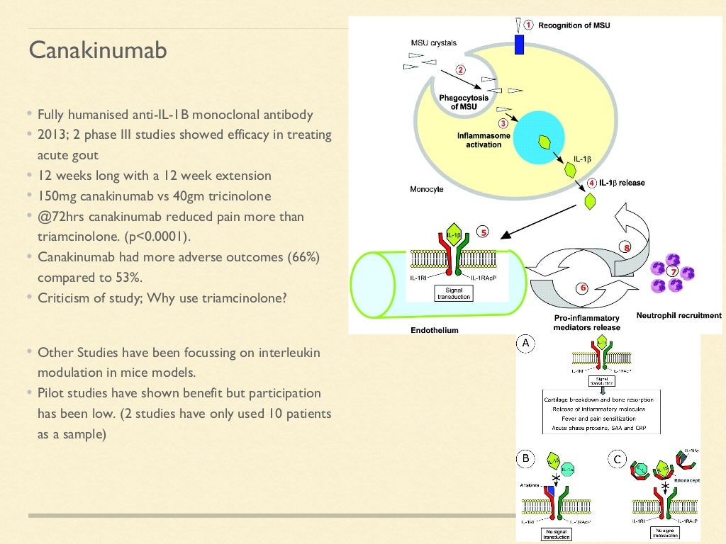 Colchicine For Management Of Acute Gout An Evidence Based Approach