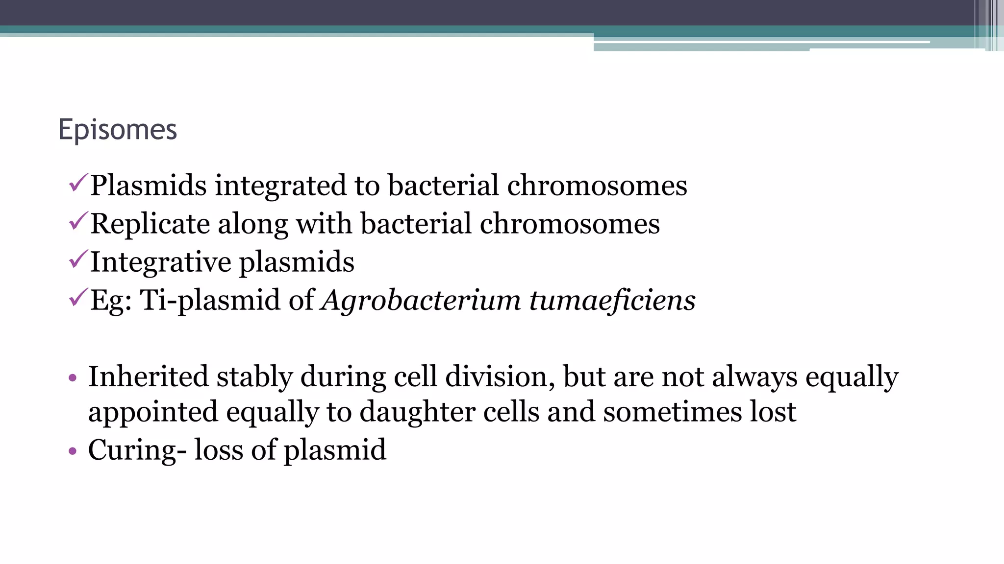 Endospores and bacterial nucleic acids | PPTX