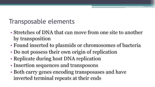 Endospores and bacterial nucleic acids | PPTX