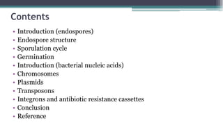 Endospores and bacterial nucleic acids | PPT