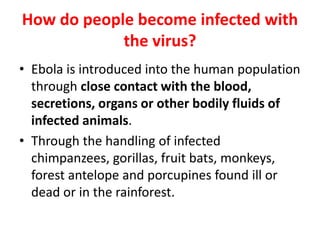 Ebola hemorrhagic fever | PPTX