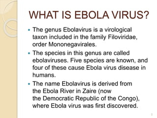 Ebola | PPTX