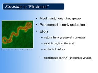 Ebola | PPT