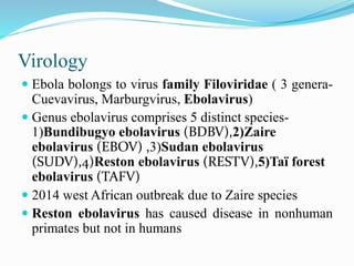 Ebola | PPTX