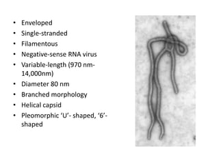 Ebola and Its recent scenario | PPTX | Infectious Diseases | Diseases ...