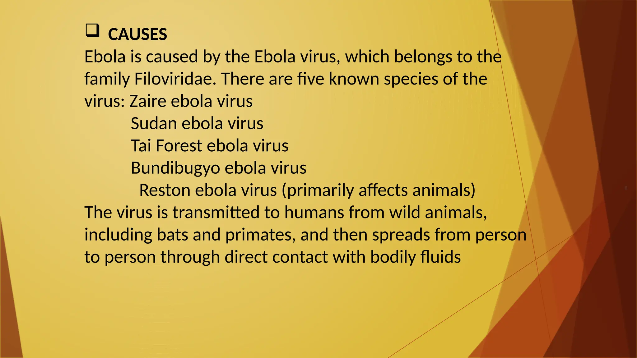 EBOLA-2.pptx Nursing Education second year | PPTX