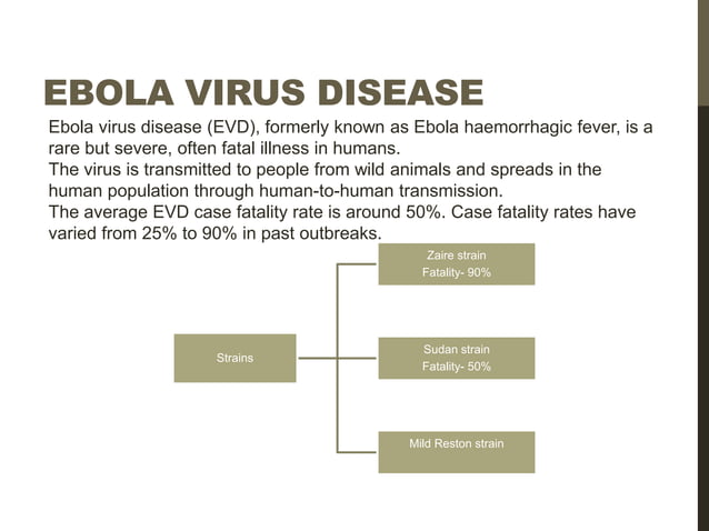 Ebola | PPT
