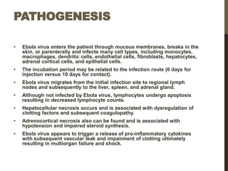 Ebola | PPTX