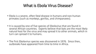 Ebola-Awareness-presentation.pdf