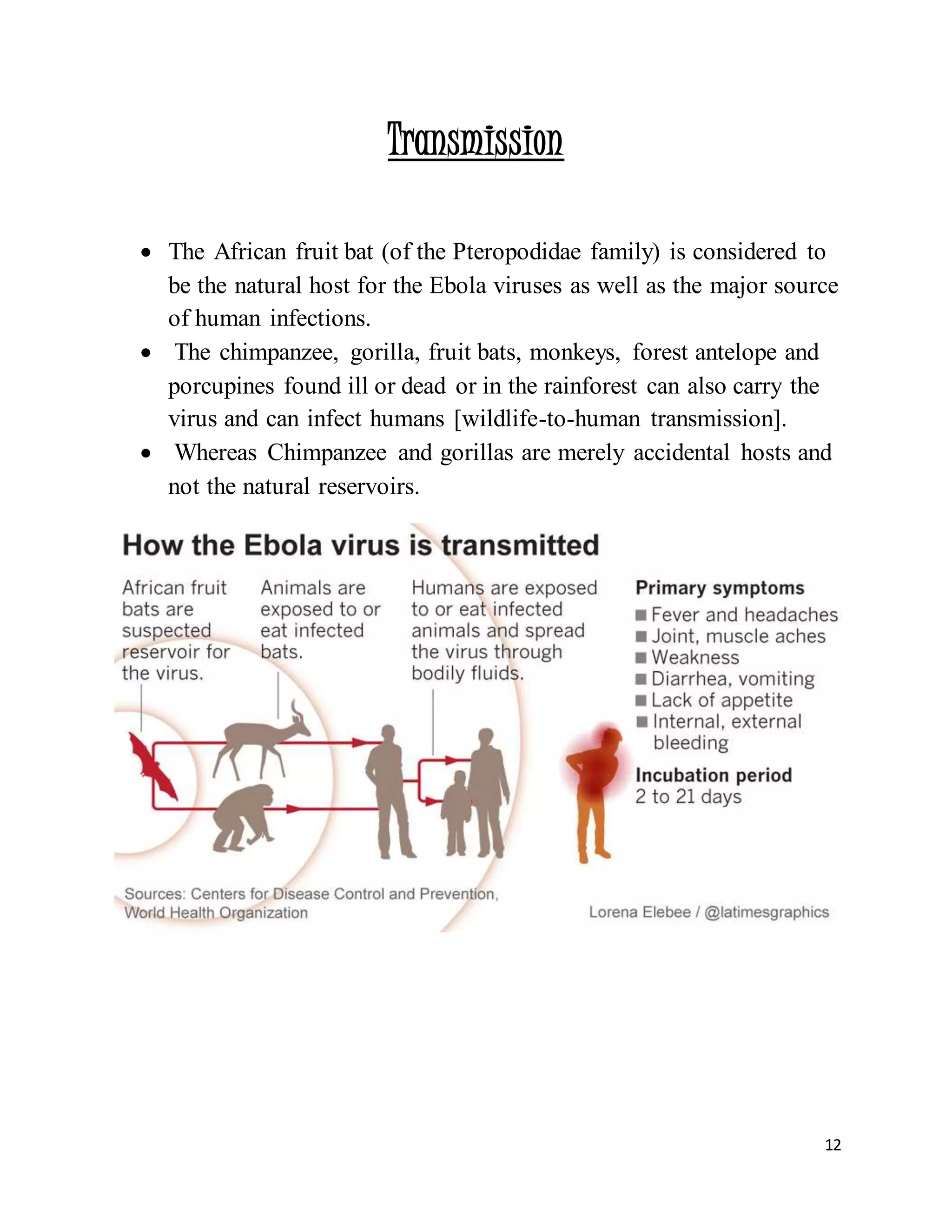 Ebola biology investigatory project | DOCX