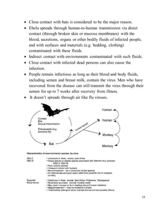 Ebola biology investigatory project | DOCX