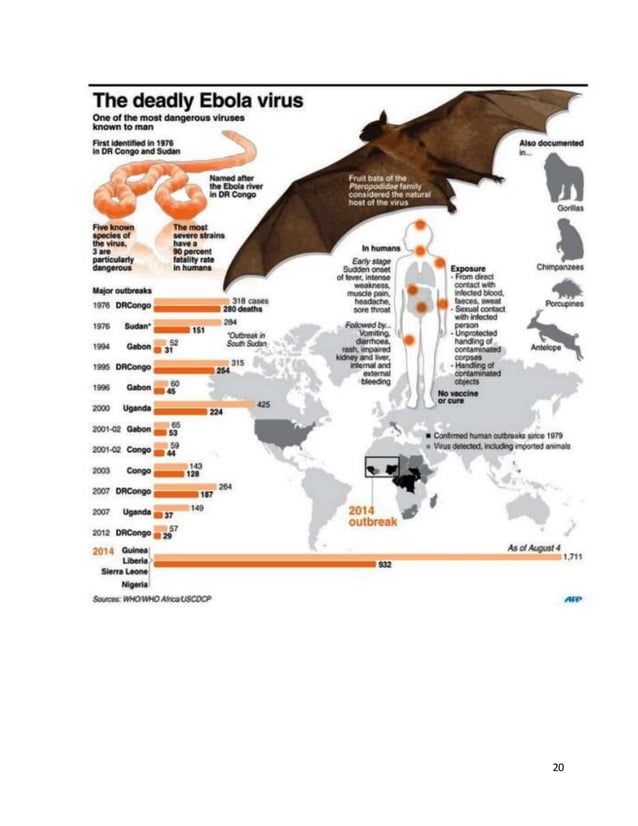 Ebola biology investigatory project | DOCX