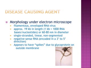 Ebola Virus ,HAEMORRHAGIC FEVER | PPT