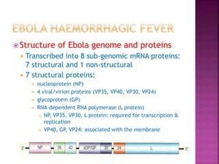 Ebola Virus ,HAEMORRHAGIC FEVER | PPT