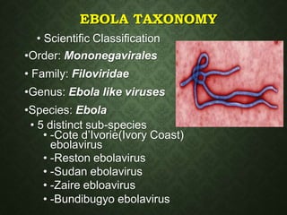 Ebola by makinde celestina | PPTX