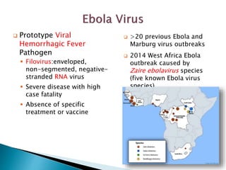 Ebola Seminar | PPTX