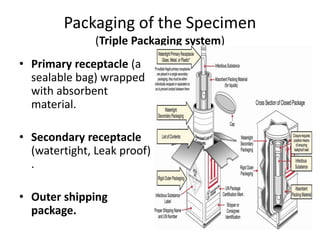 Ebola diagnostic Considerations | PPT