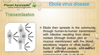 Ebola Virus — Causes Symptoms Diagnosis Treatment Prognosis And