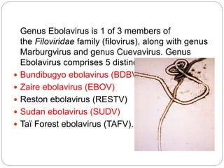 Ebola virus | PPTX