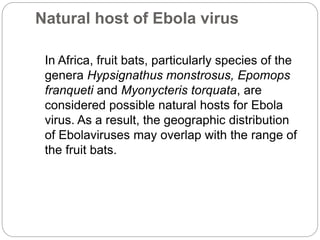 Ebola virus | PPTX