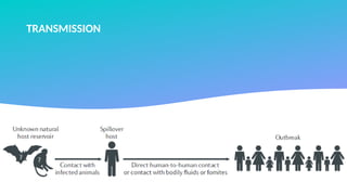 EBOLA VIRUS: INTRO, SPECIES, STRUCTURE, GENOME, LIFE CYCLE, REVERSE ...
