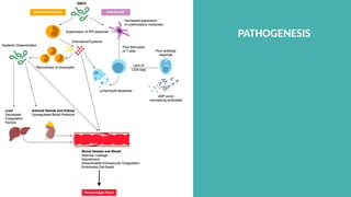 EBOLA VIRUS: INTRO, SPECIES, STRUCTURE, GENOME, LIFE CYCLE, REVERSE ...