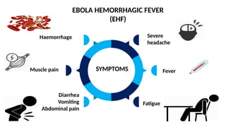 EBOLA VIRUS: INTRO, SPECIES, STRUCTURE, GENOME, LIFE CYCLE, REVERSE ...