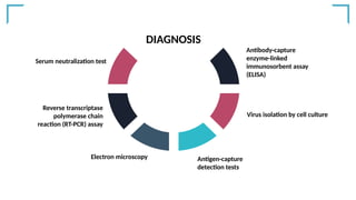 EBOLA VIRUS: INTRO, SPECIES, STRUCTURE, GENOME, LIFE CYCLE, REVERSE ...