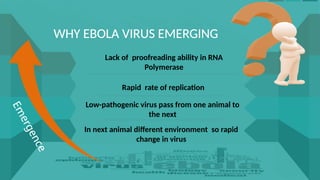 EBOLA VIRUS: INTRO, SPECIES, STRUCTURE, GENOME, LIFE CYCLE, REVERSE ...