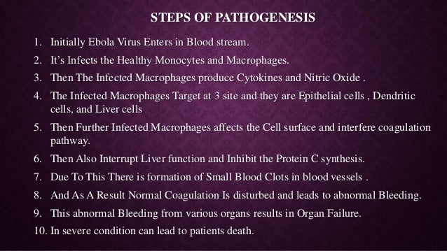 EBOLA VIRUS By Saili Rajput 1.pptx