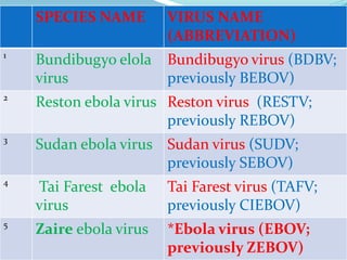 Ebola virus complete ppt students of jcpt -m.b | PPTX