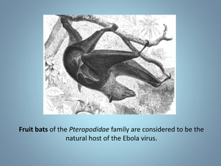 Ebola Virus Disease: Key Facts, by Dr Praveen Malik | PPTX