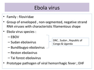 Ebola virus main | PPT