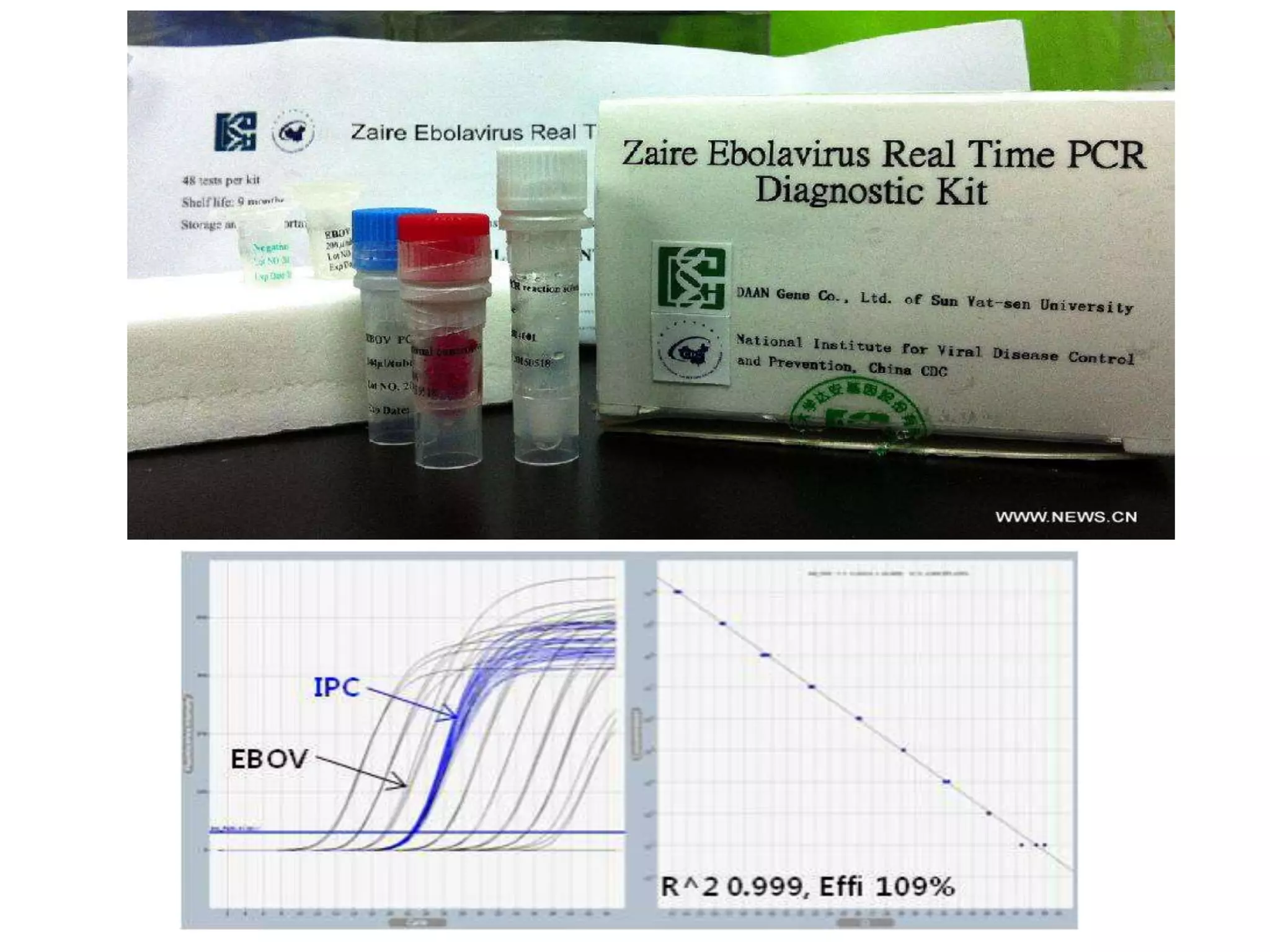 Ebola virus pathogenesis, lab diagnosis | PPTX