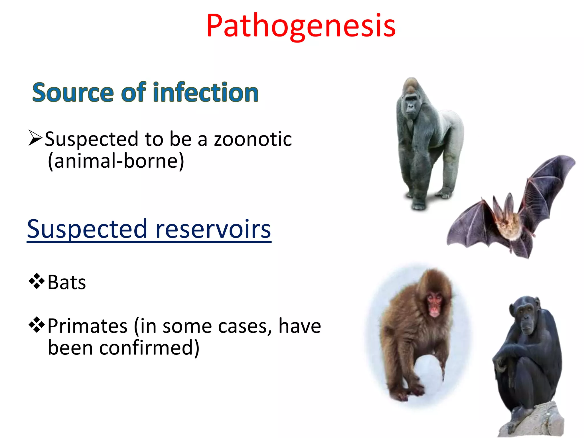 Ebola virus pathogenesis, lab diagnosis | PPTX
