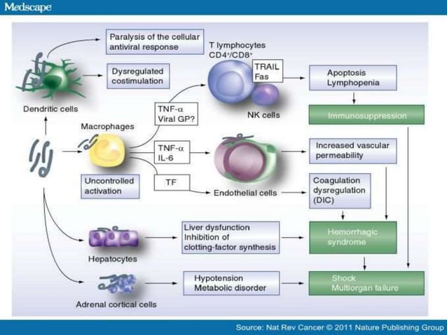 Ebola virus pathogenesis, lab diagnosis | PPTX
