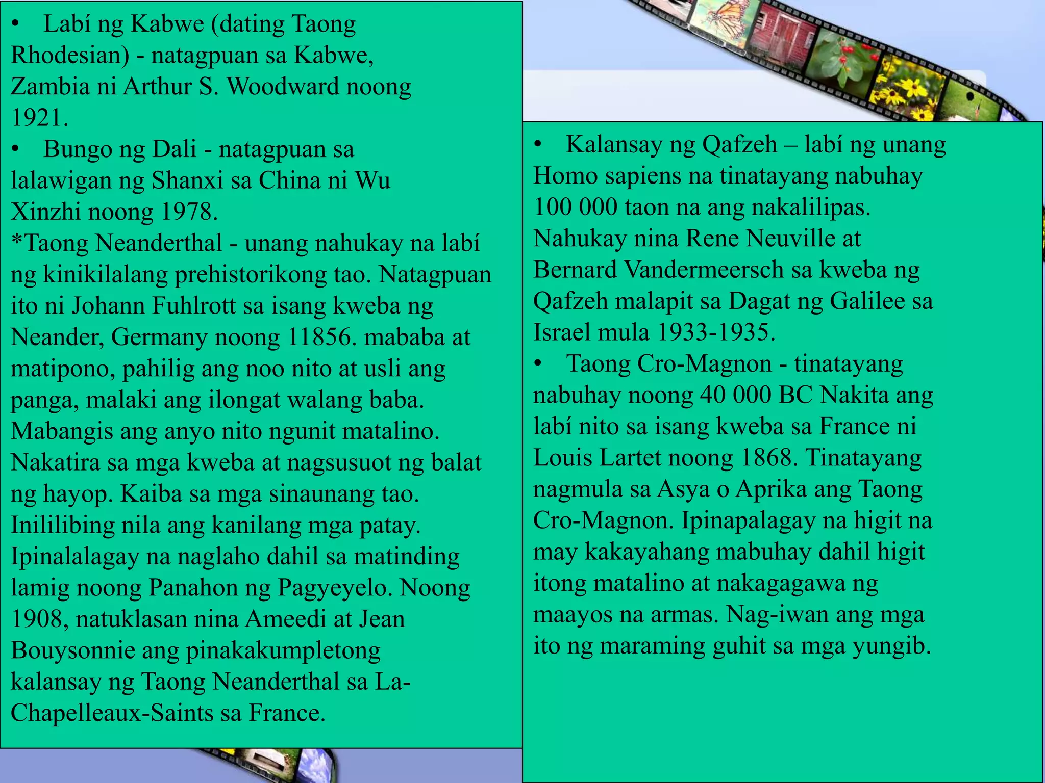 Ebolusyon ng tao | PPTX