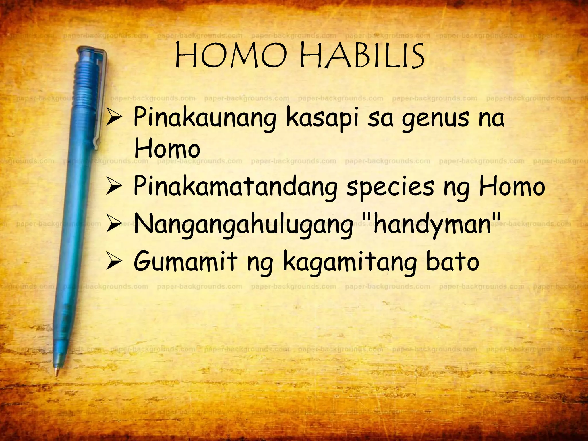 Ebolusyon ng tao | PPTX