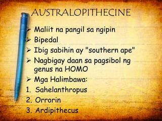 Ebolusyon ng tao | PPTX