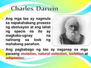 Ebolusyon ng tao | PPTX