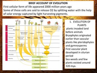 Evolution and theories of evolution | PPTX