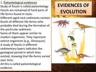 Evolution and theories of evolution | PPTX