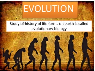 Evolution and theories of evolution | PPT