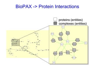 Powerpoint BinoM | PPT | Biological Sciences | Science