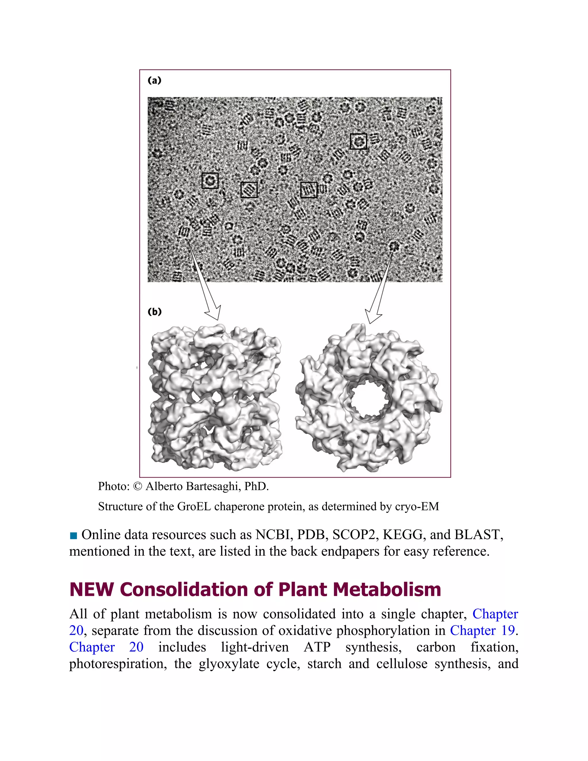 Principles of Biochemistry | PDF