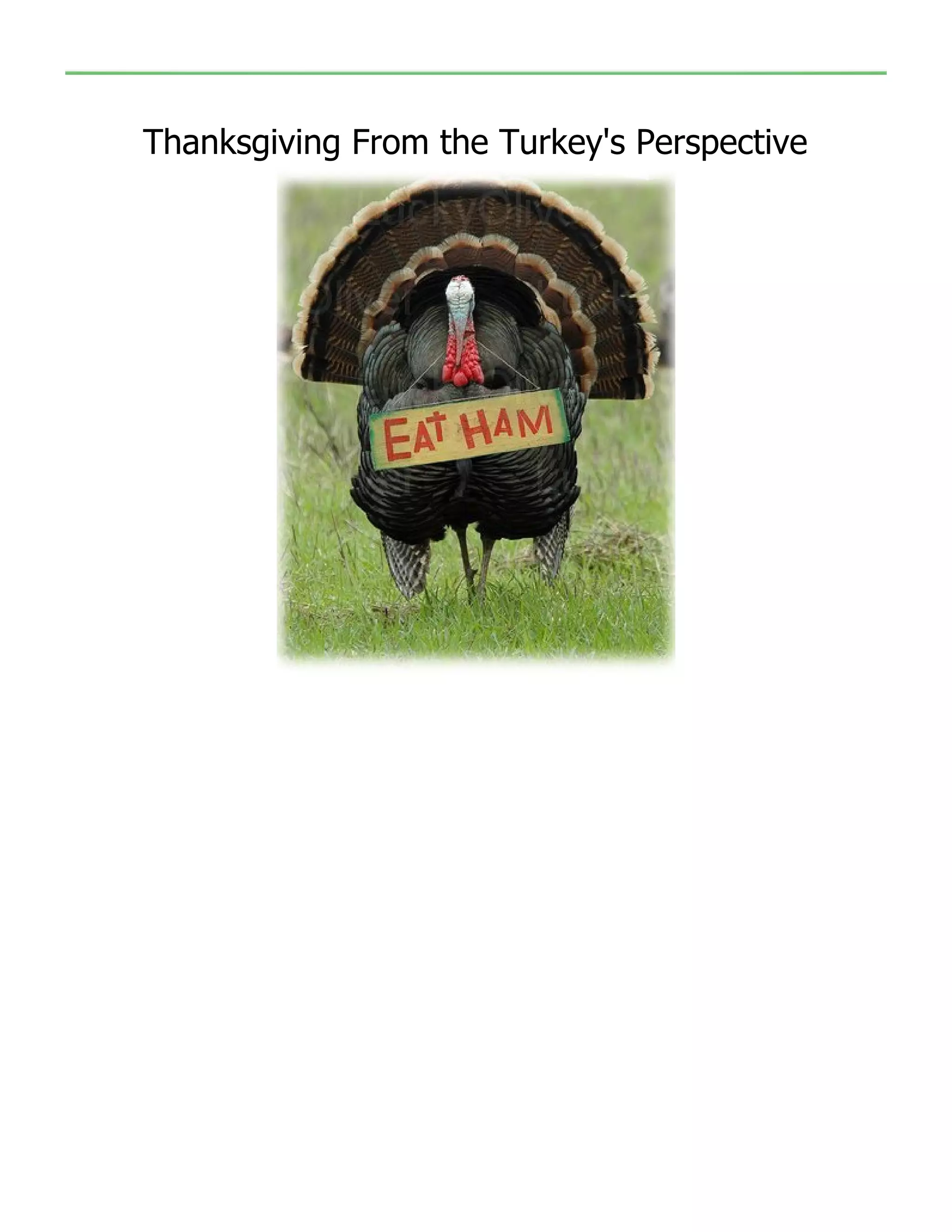 Thanksgiving from a Turkey's Perspective! | PDF